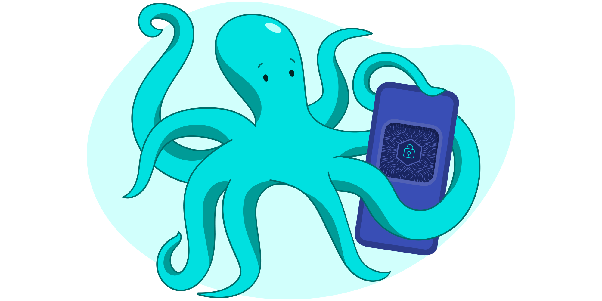 Whitebox Cryptography | Blue Cedar